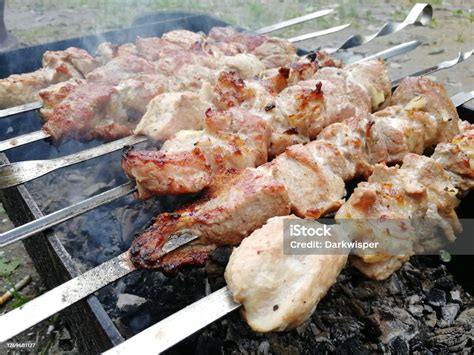 꼬치에 돼지 고기 쉬시 케밥은 그릴에 석탄에 튀겨 피크닉 건강에 해로운 음식 고기에 대한 스톡 사진 및 기타 이미지 고기