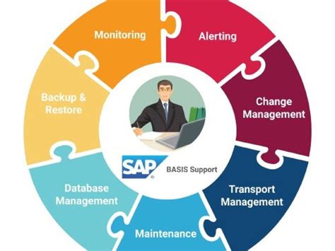 Sap Basis Hana Consultant Upwork