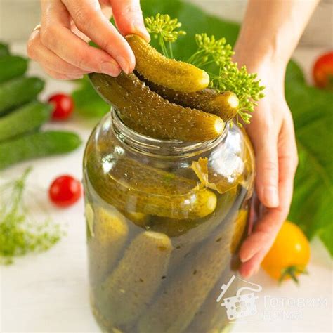 Соленые Огурцы на Зиму, как у Бабушки - пошаговый рецепт с фото на ...