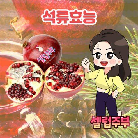 석류콜라겐젤리 효능 김희애 탱글탱글 스틱 놀라워 한포에 가득 네이버 블로그