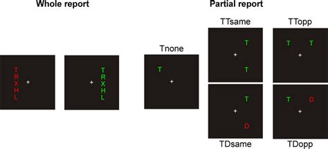 tva tasks whole and partial report in the whole report task subjects download scientific