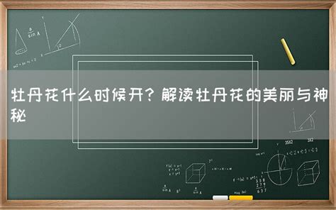 牡丹花什么时候开解读牡丹花的美丽与神秘