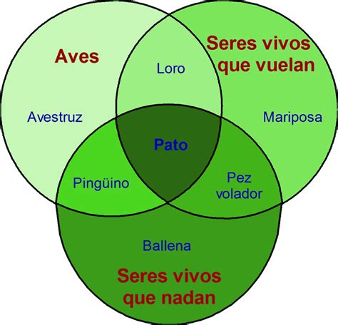 Diagrama De Venn Ejemplos De 3 Conjuntos Diagrama De Venn Pa