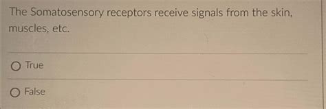 Solved The Somatosensory Receptors Receive Signals From The