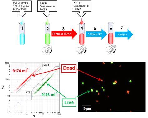 Quantum P Flow Cytometer Qa