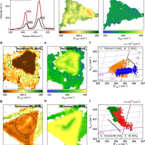 Raman Mapping Characterisation Of Tectomer Coated Mos2 A Raman