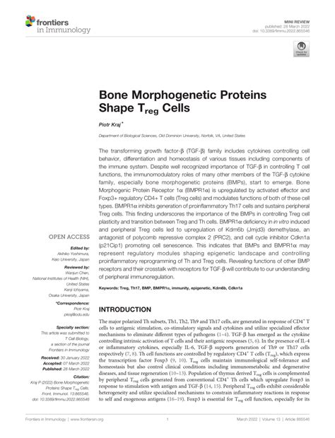 Pdf Bone Morphogenetic Proteins Shape Treg Cells