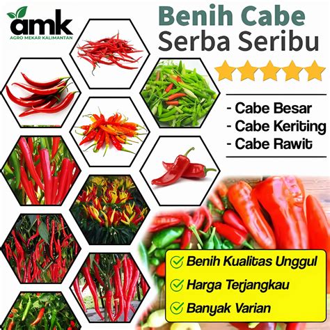 Jual Benih Bibit Cabe Cabean Cabai Rawit Keriting Dan Besar Shopee