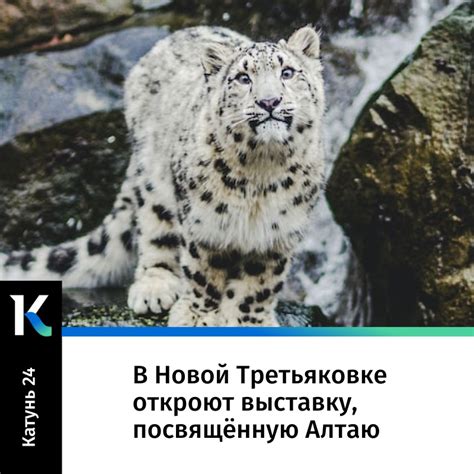 В Новой Третьяковке откроют выставку посвящённую Катунь 24 — новости