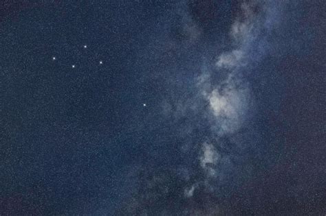 Premium Photo Delphinus Constellation Cluster Of Stars Dolphin