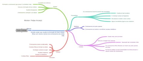 Ciclo Celular Mitose Divisão Celular Que Resulta Na Formação De Duas