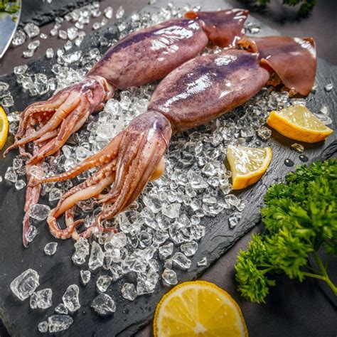 Waarom Zijn Koude Maanden De Beste Tijd Voor Inktvis