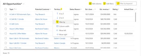 Custom Views And Charts In Dynamics 365 Crm Encore Business Solutions
