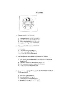 Cell Division Multiple Choice Questions By The High Babe Science Guy