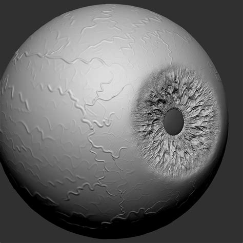 눈 현실 3d 모델 99 Ztl Obj Unknown Free3d
