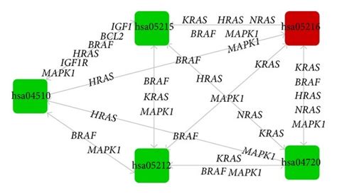 pathway crosstalk analysis and functional clustering a hierarchical
