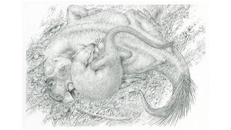 Fossil Reveals The Moment A Cat Size Mammal Took On A Dinosaur Three