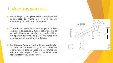 Tomidigital C11 Espectroscopia Raman