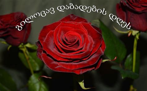 Images გილოცავ დაბადების დღეს სურათები