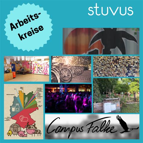 Structure Of Stuvus Working Groups Stuvus