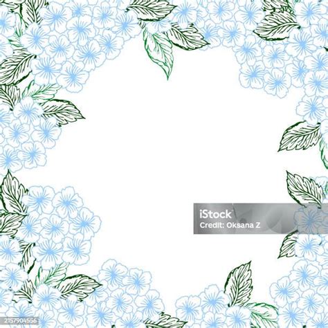 봄 꽃 사각형 화 환 푸른 수국 꽃입니다 카드 또는 초대용 잎이 있는 라인 아트 작은 꽃 색칠 공부 페이지 0명에 대한 스톡 벡터 아트 및 기타 이미지 Istock