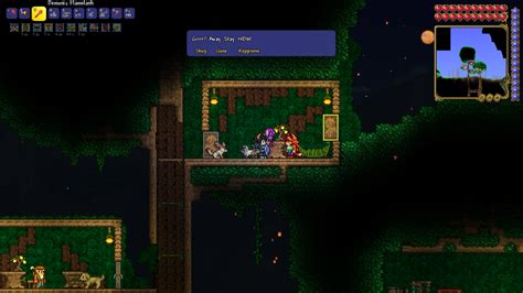 Zoologist Is So Interesting Rterraria