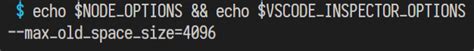 Debug Create JavaScript Debug Terminal Executing The Script Does Not