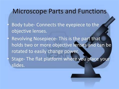 Microscope Parts And Functions Pptx Photography Arts And Crafts