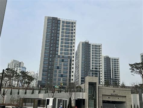 점핏 신입 소프트웨어 개발자 채용