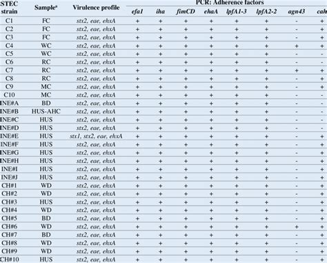 Genotypic Characterization Of O157h7 Stec Strains Isolated From