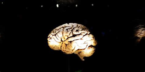 Vaccination To Prevent Dementia New Research Suggests One Way Viral