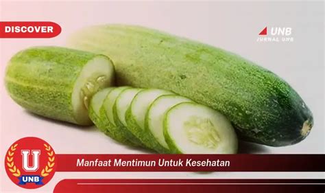 Temukan 6 Manfaat Mentimun Untuk Kesehatan Yang Wajib Kamu Intip