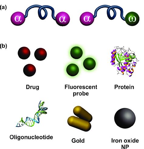 A Schematic Representations Of Homotelechelic Left And Download Scientific Diagram