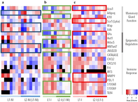 Gene Expression Ct In Three Comparisons 1 St N 7 Vs 2 Nd