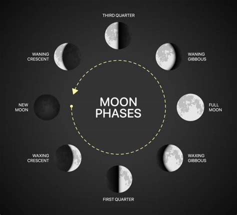 Diagramme Des Phases De La Pleine Lune