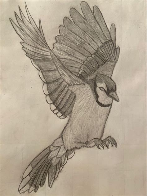 Bird Drawing In 2022 Bird Drawings Humanoid Sketch Drawings