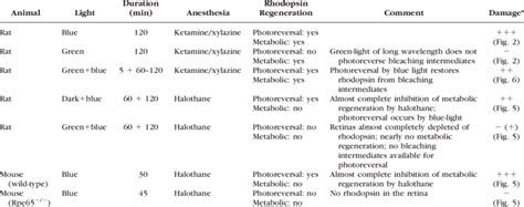 Summary Of Experimental Paradigms Download Table