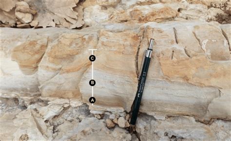 Turbidite Unit Showing Stow Sequence Of Structures Divisions Abc As