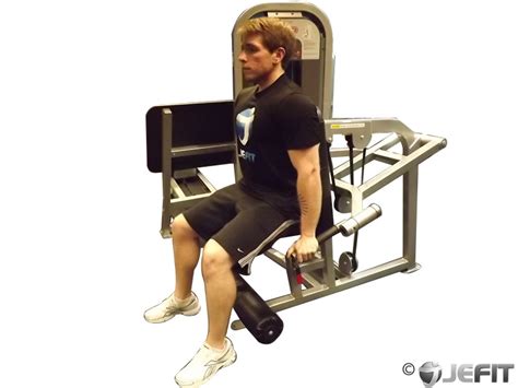 Seated Dip Machine Bodybuilding Awesome Home
