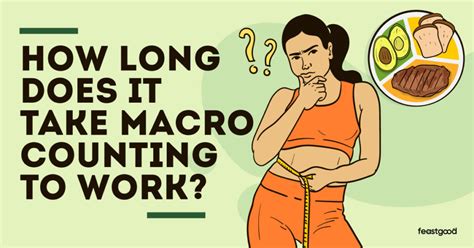 How Long Does It Take Macro Counting To Work According To Rd