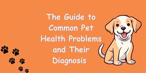 The Ultimate Guide To Common Pet Health Problems And How To Spot Them