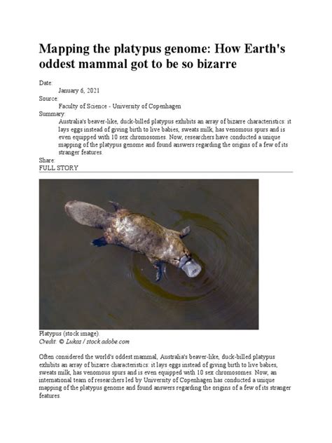 Mapping The Platypus Genome Pdf Mammals Sex