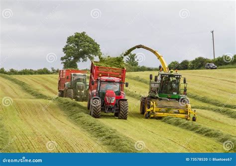 Harvester Forager Cutting Field Loading Silage Into A Tractor Trailer