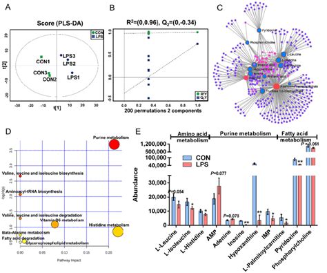 Metabolomics Analysis Of Inflammation Response In Mac T A The