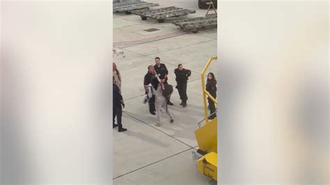 Airplane Drama Including ‘fierce Argument Between Couple Results In