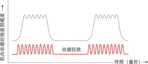 Emsella 私密修護椅 一坐修護緊緻盆底肌 Btl 香港官方網站