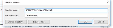 C Aspnet Core 21 Aspnetcoreenvironment Value Not Reflecting