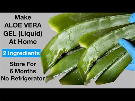 How To Preserve Aloe Vera Gel Without A Fridge Stuffsure