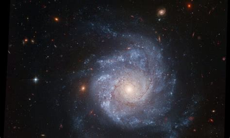 Meet The ‘zombie Star That Survived A Supernova Blast The Epoch Times