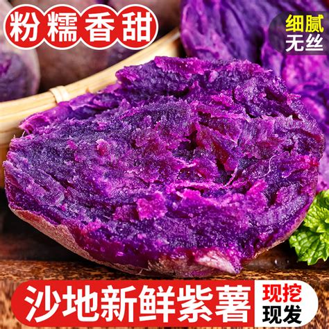 现挖沙地紫薯10斤番薯地瓜板栗红薯农家自种蜜薯山芋烟薯新鲜蔬菜虎窝淘